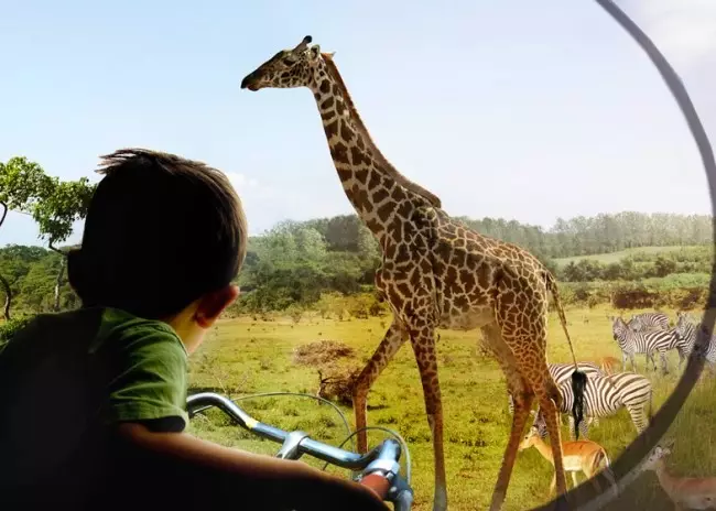 Zootopia: Paradise-Ecke für Safari