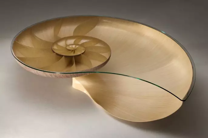 Еко-дизајн: Спирална школка во внатрешноста