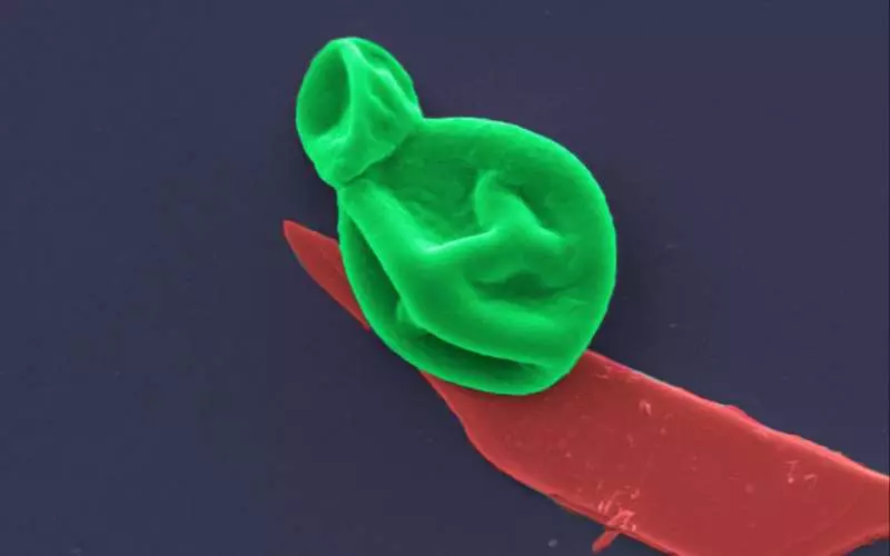 Nova nanoteknologio detruas bakteriojn