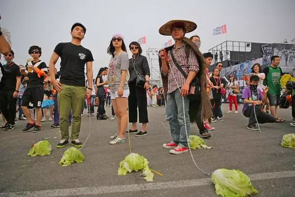 왜 중국은 양배추와 함께 산책 하는가?