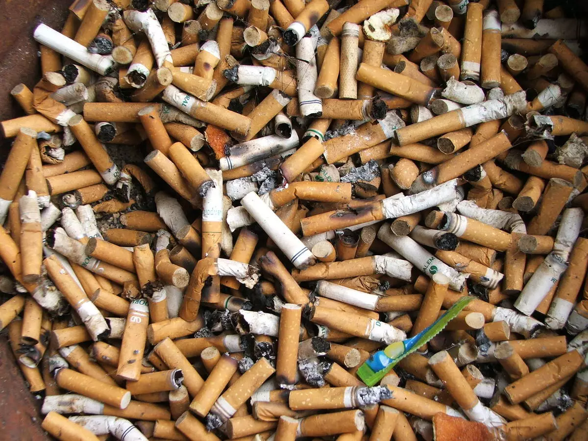 Τσιγάρα τσιγάρα ως υλικό για την αποθήκευση ενέργειας. Facepla.net Τελευταίες ειδήσεις οικολογίας
