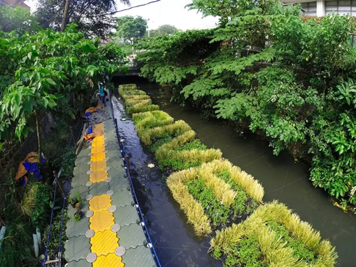 Reklame Shield reinigt de rivier út Toxins