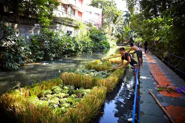 Reklame Shield reinigt de rivier út Toxins