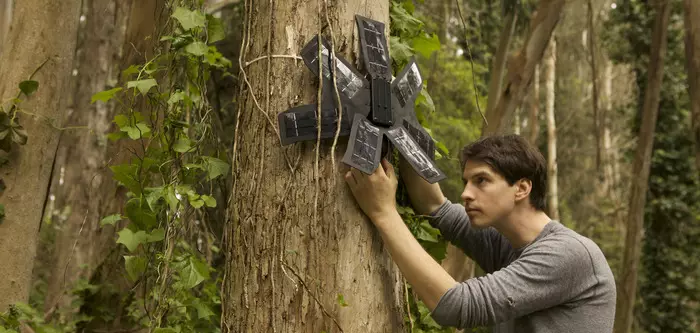Smartphones kan spara regnskogar