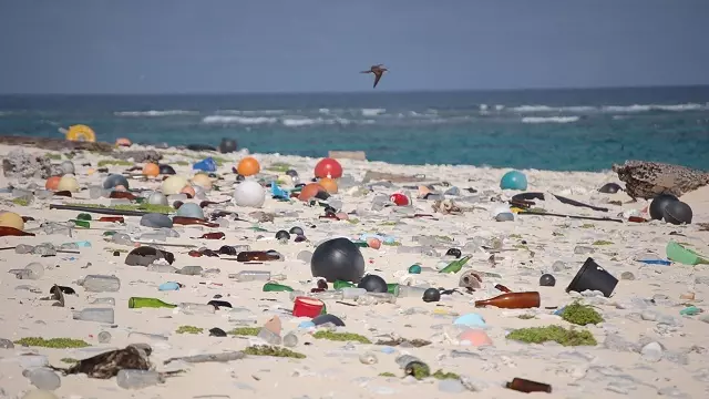 Plasticomate: un nou tipus de pedra artificial formada pel plàstic en condicions naturals