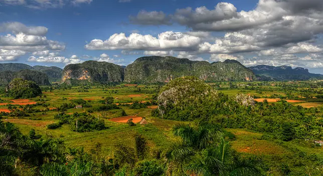 Vinyales Valley na Kubi kuća je za razne endemske biljne vrste i životinje.