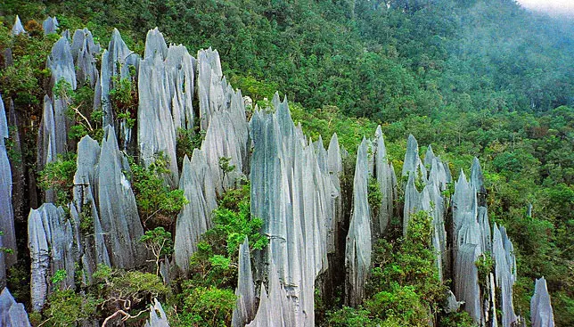 Topparna av toppar från kalksten i Mulu National Park, Borneo.