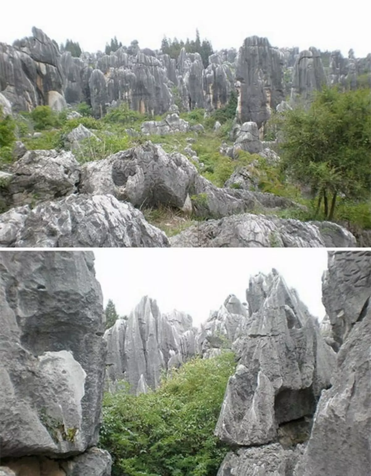 پتھر جنگل، چین