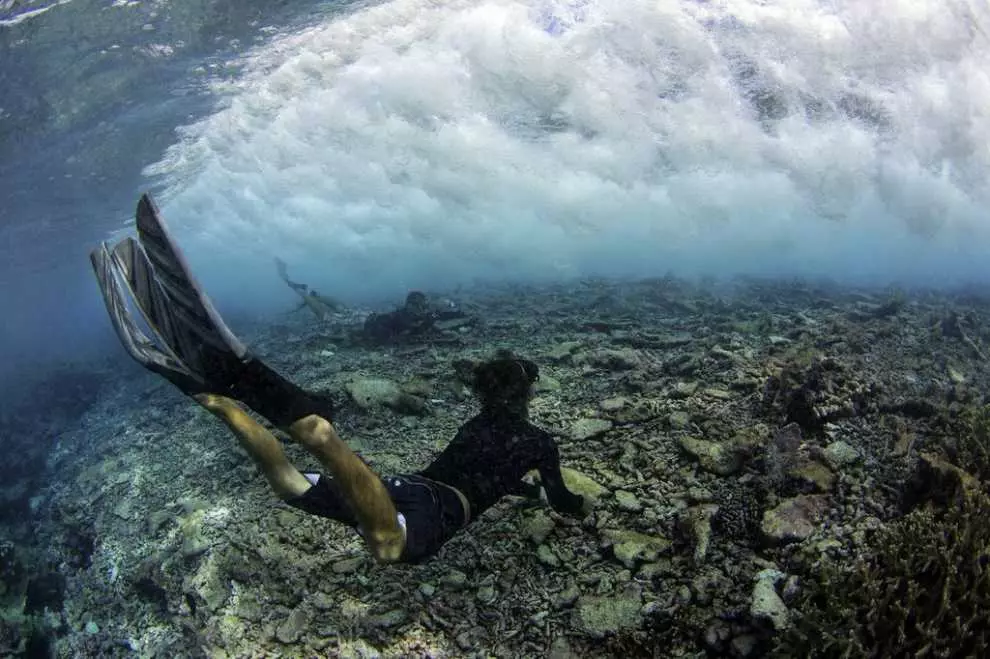 কিভাবে প্রবাল reefs আমাদের জলবায়ু পরিবর্তন স্থানান্তর করতে সাহায্য করবে