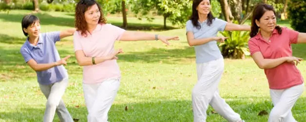 Tai Chi - Gymnastyk yn Brussel Parks