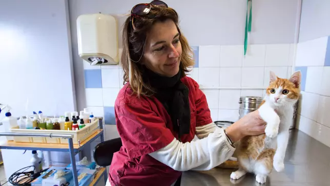 L-annimali jistgħu jsiru donaturi ta 'organi għan-nies.