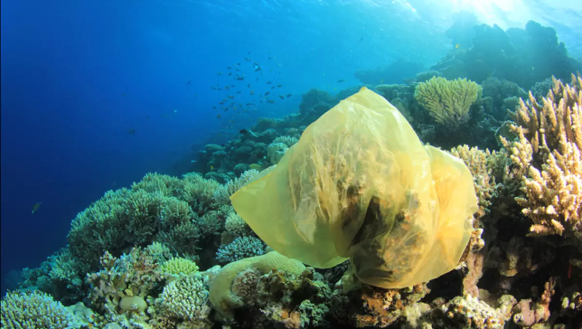 Pisinisi o le a faatauina palasitika ma oe. Foliga o le mea fou o le Ecology Ecology