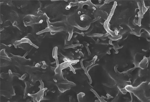 Pelicule de nanocompozit celulozic.