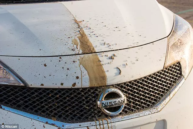 Nissan menguji kereta yang tidak memerlukan tenggelam. Faceplla.net Berita Ekologi Terkini Terkini