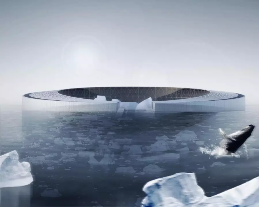 Дрифтинги хоҷагӣ айсбергҳоро барои иқтисодиёти гидропонкӣ ҷамъ мекунад