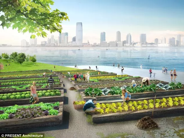 Wraz z możliwością stworzenia nowego produktu na rynku bogatym w składniki odżywcze kompostu, miasto będzie w stanie zorganizować uprawę warzyw.