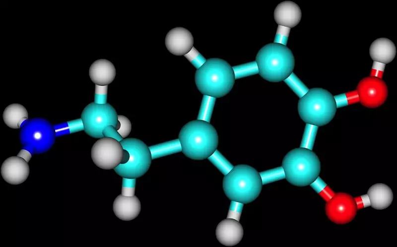 L'amore ha un impatto significativo sul cervello: 5 prove