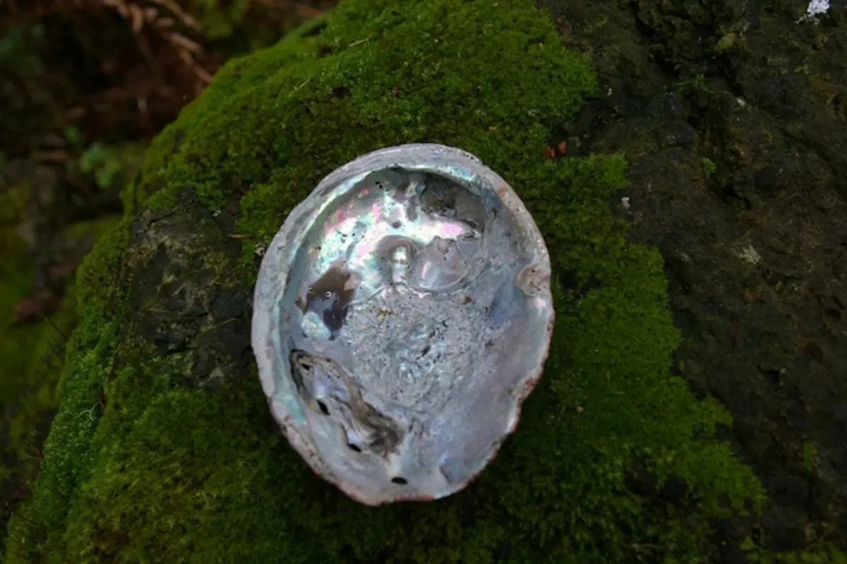 Glas met een parelstructuur is niet opgesplitst in kleine fragmenten