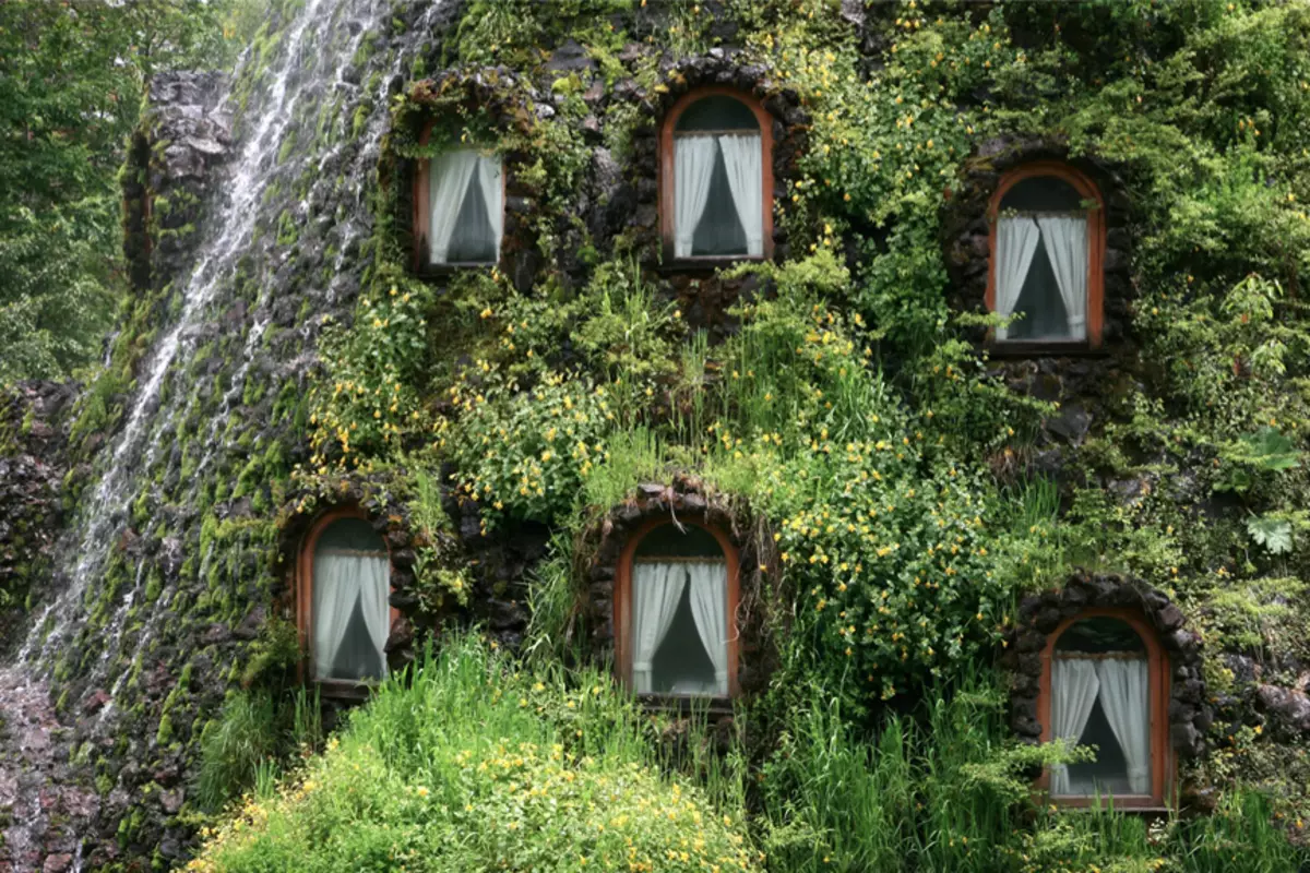 智利丛林的生态瀑布酒店