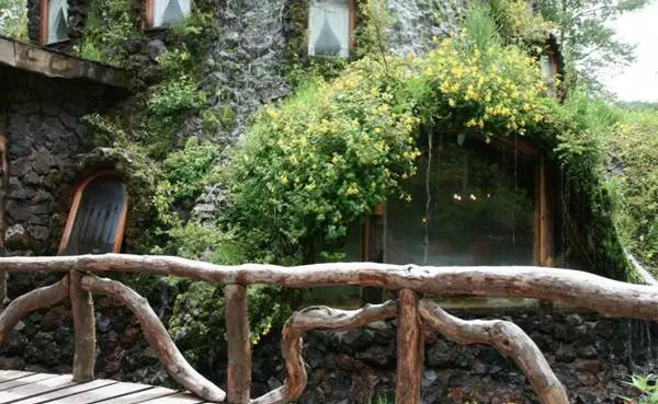 智利丛林的生态瀑布酒店