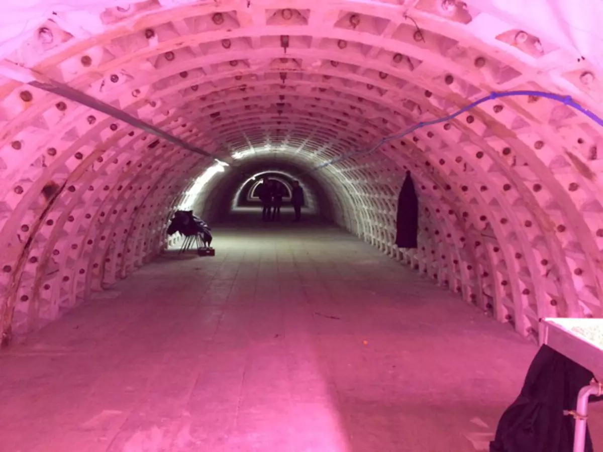Чи вдасться перетворити лондонські підземелля в міську ферму?