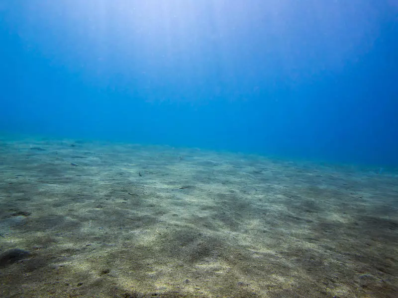 หุ้นขนาดใหญ่ของน้ำจืดที่พบใต้มหาสมุทรก้น