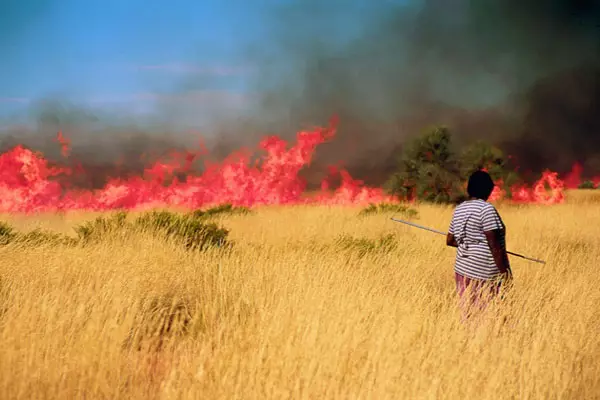 Den traditionelle brænding af små områder af terrænet bidrager til oprettelsen af ​​et netværk af åbne områder, der forhindrer ødelæggende spredning af brande i tørre årstider.