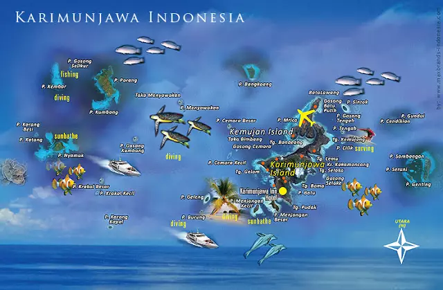 Das Erscheinungsbild des Haifulars von der Küste von Indonesien zertifiziert die Umweltvermerkung des Territoriums des Nationalparks Karimundzhava