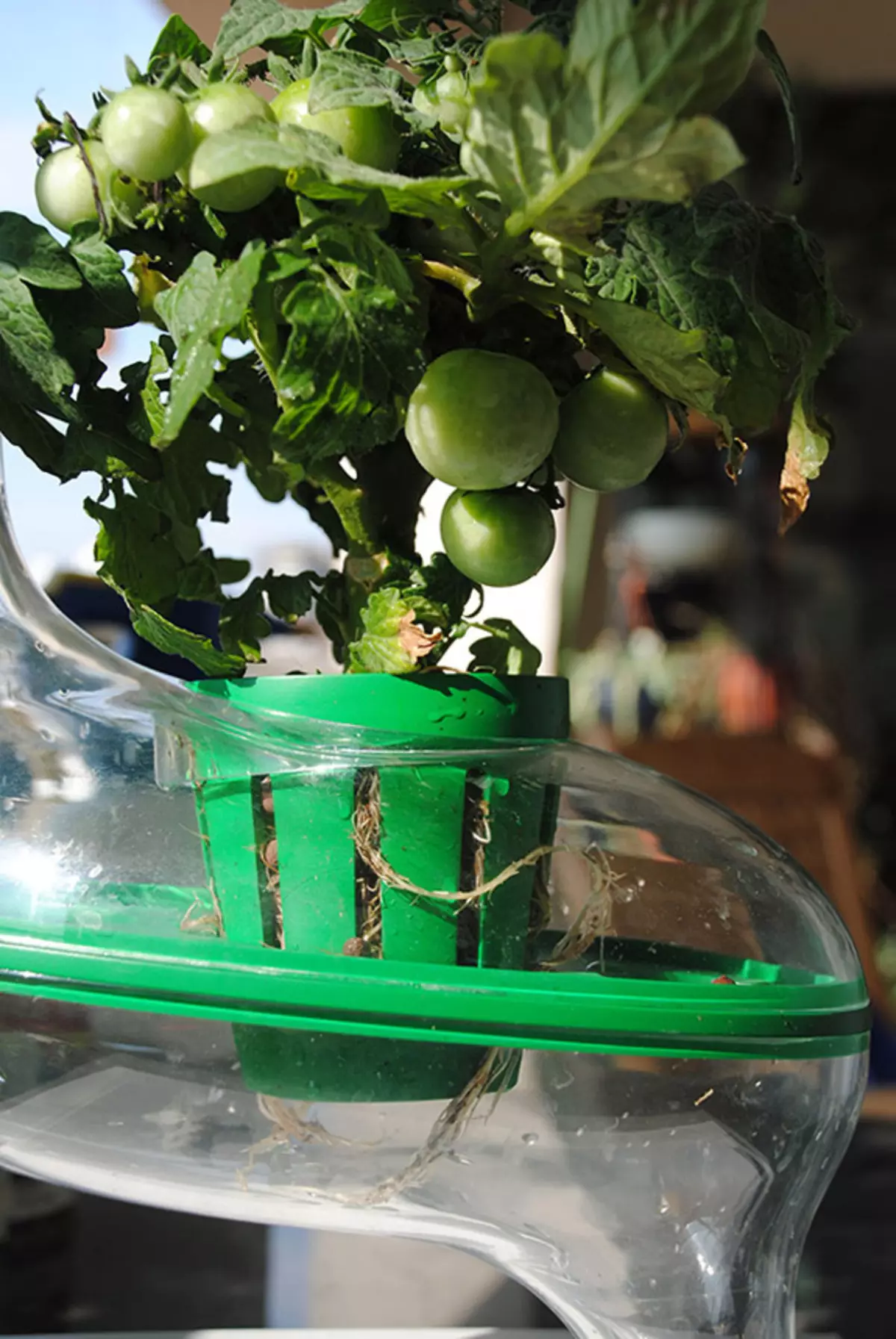 Plantree - باغ با تکنولوژی پیشرفته در آشپزخانه