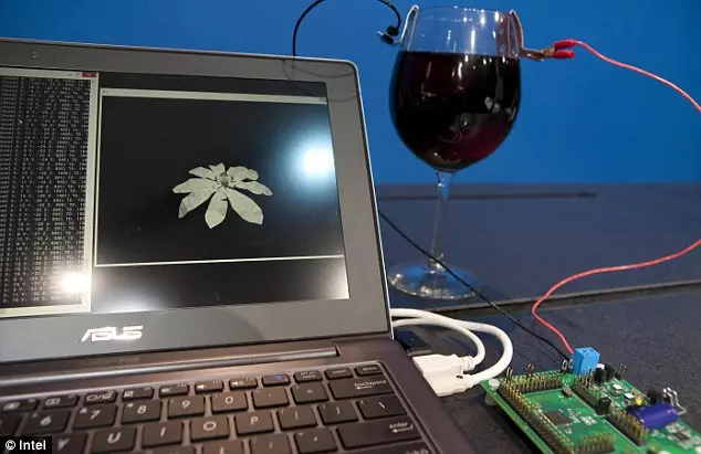 Intel gira el vino en electricidad