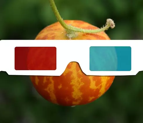 3D štampanje. Da bi se pomoglo vrtlaru