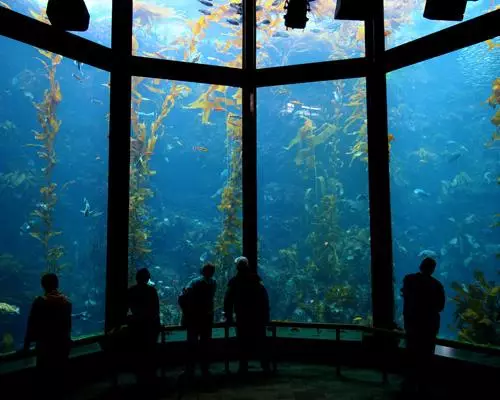 10 beeindruckende Aquarien der Welt