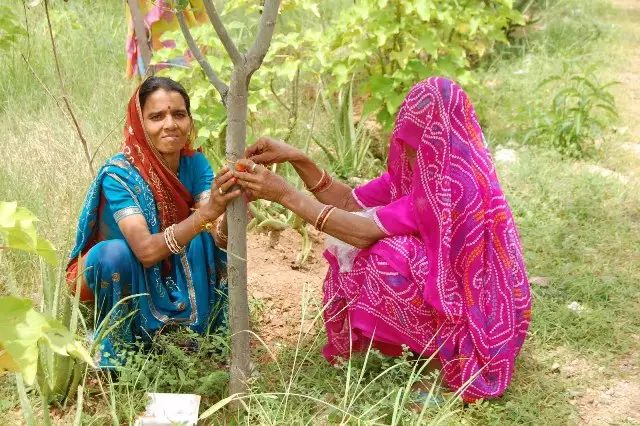 Eco-feminisme di India