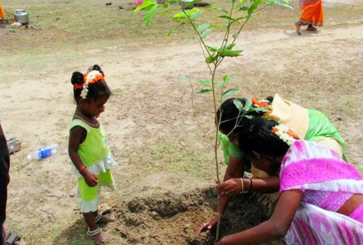 Eco-feminisme di India