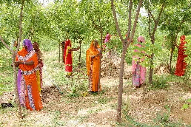 Eco-feminismo en la India