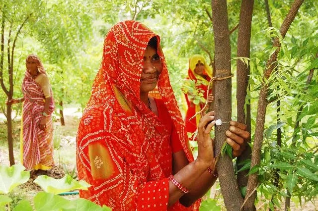 Eco-feminismo en la India