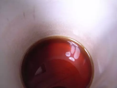 Ang Green Tea ug Vino makatabang sa labi ka episyente nga mga implants