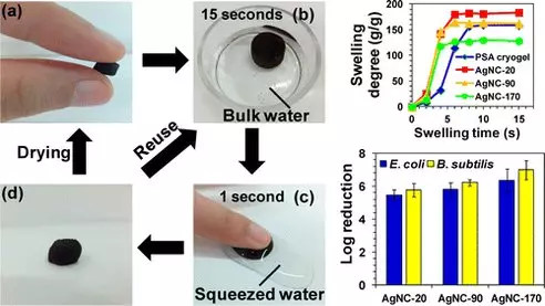 Spate Sponge Sponge limpa a auga das bacterias