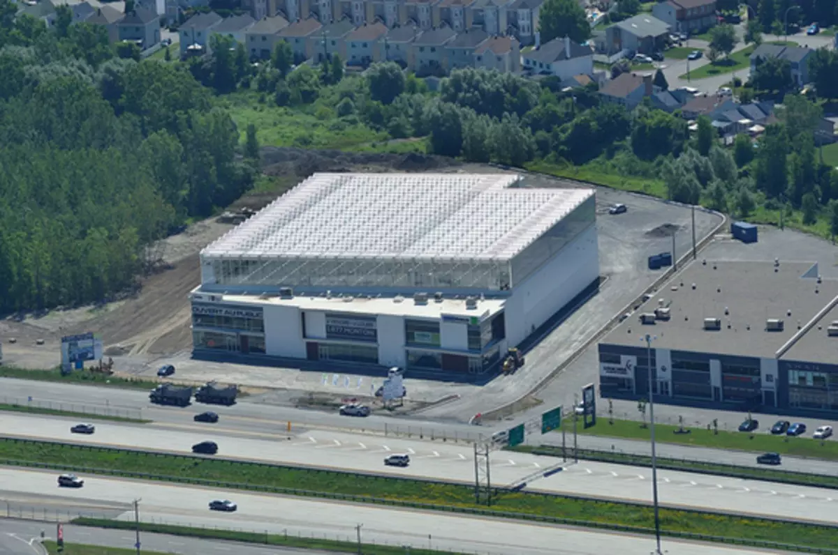 Azienda agricola urbana sul tetto su scala industriale