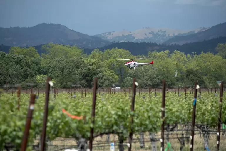 Bezpilota helikopteru rokturi vīna dārzi