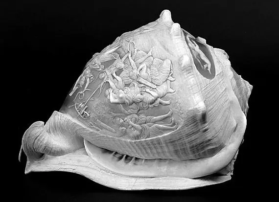 ხელოვნების ნიმუშები seashells