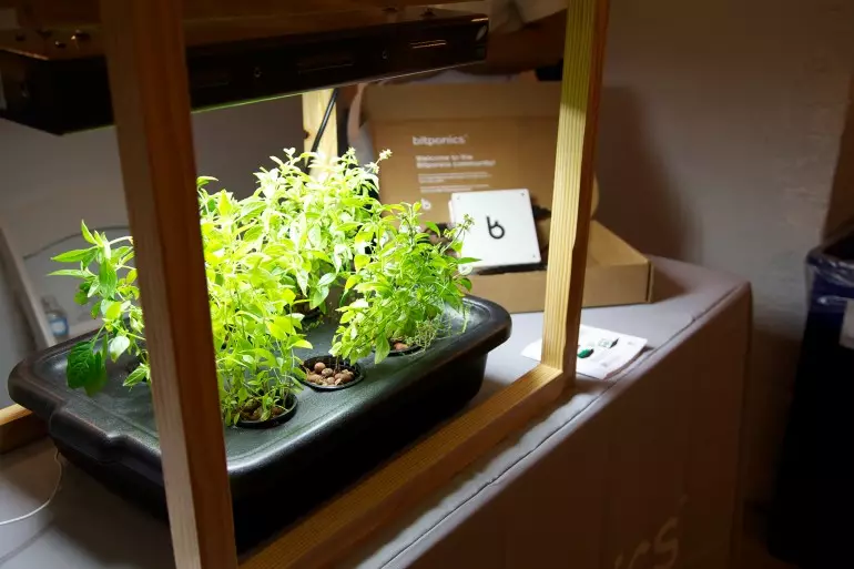 BitPonics - Smart Home Garden Assistant