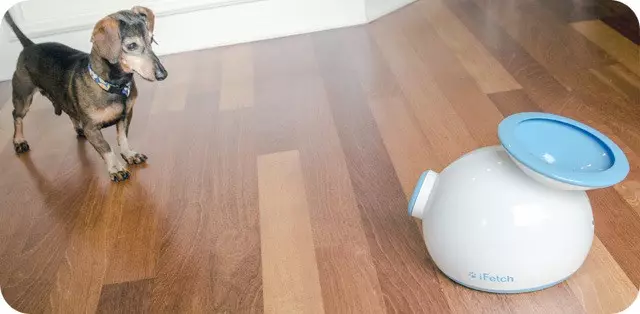 Ifetch - Automatesch Hond Simulator