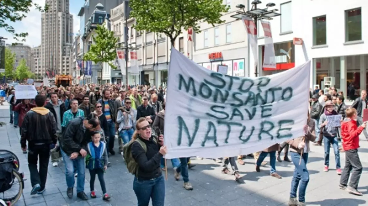 Monsanto, Avropadakı GMO bitkilərindən imtina edir
