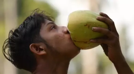 Coconut - from root to shell