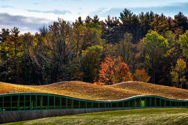 Hotchkiss-Green-Roof-Biomass
