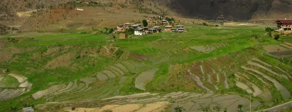 Bhután quiere ser el primer país que excluirá los herbicidas y los pesticidas de la cadena alimentaria.