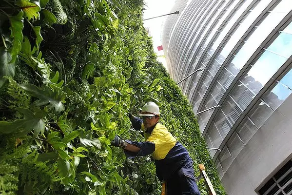 ECO skyscraper di Sydney