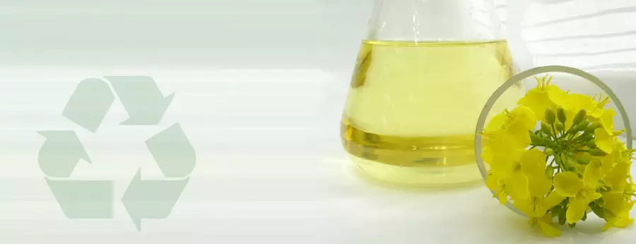 Biodiesel kutoka sufuria ya kukata