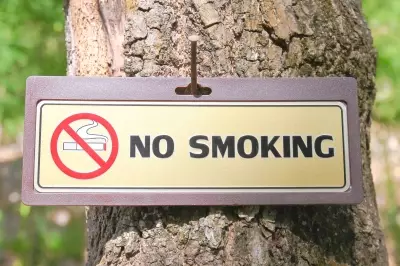 Você ainda está fumando? Resultados de um programa anti-bacade em larga escala na Austrália